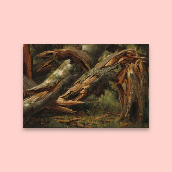 Fallen Tree Wallpaper – Chroma Living