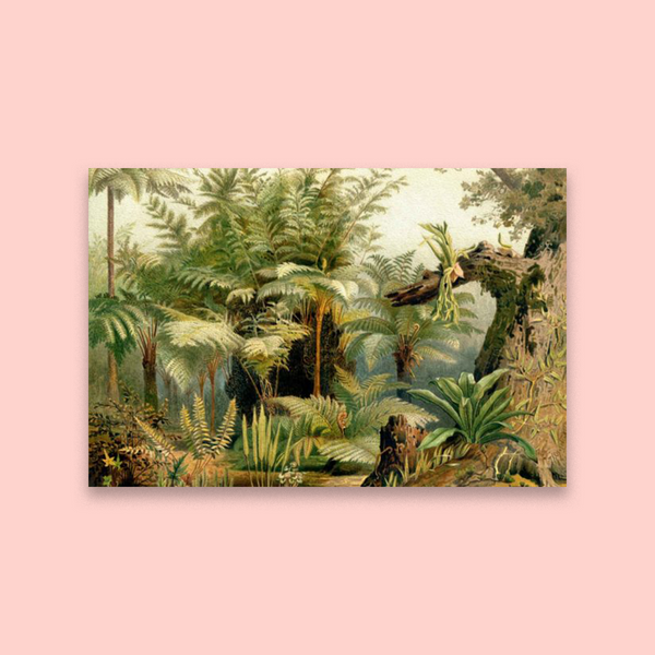 Fantasy Fern Wallpaper – Chroma Living