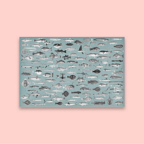 Off The Hook Wallpaper – Chroma Living