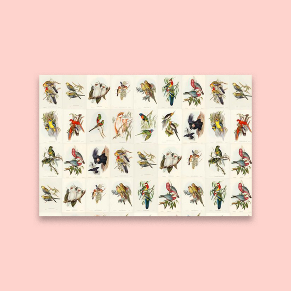 The Avery Wallpaper – Chroma Living